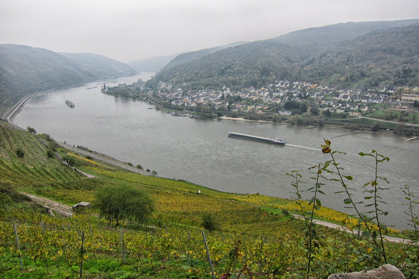 Rheinsteig Bonn-Wiesbaden